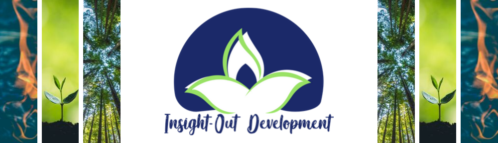 Other Collections | Insight-Out Development